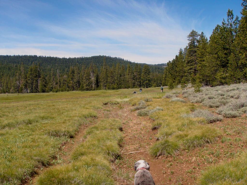 Beckwourth Trail – California – Nevada Chapter OCTA