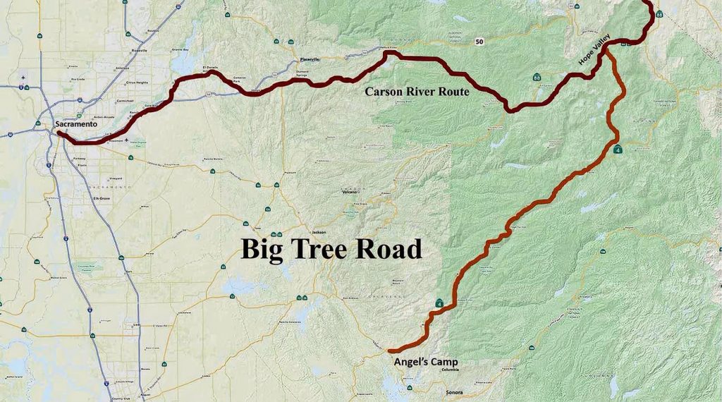 Big Tree Road – California – Nevada Chapter OCTA